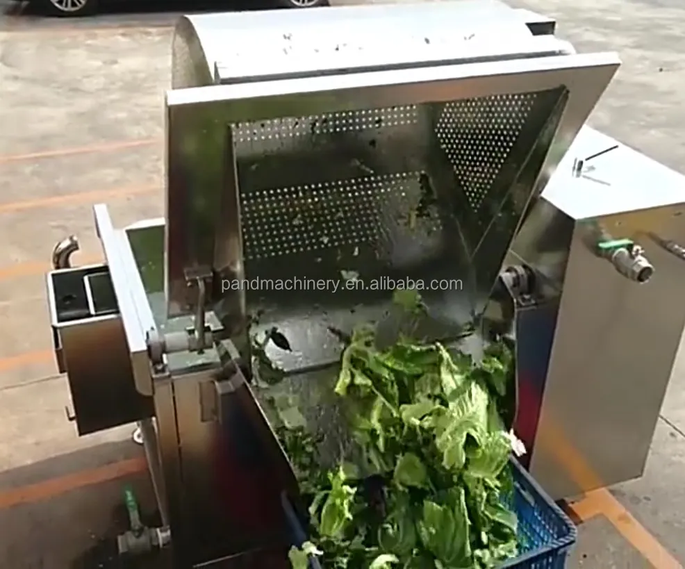 Industrial Automatic Fruit Vegetable Leaf Washing Machine