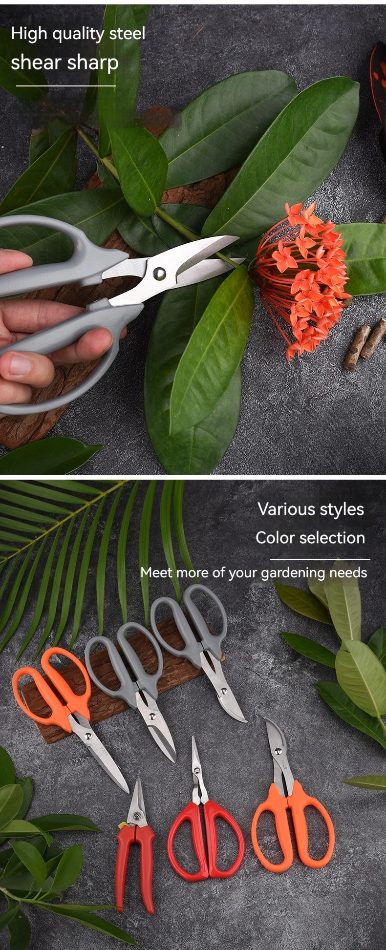 Professional Bonsai Scissors Small Garden Pruner Graft Scissors For ...