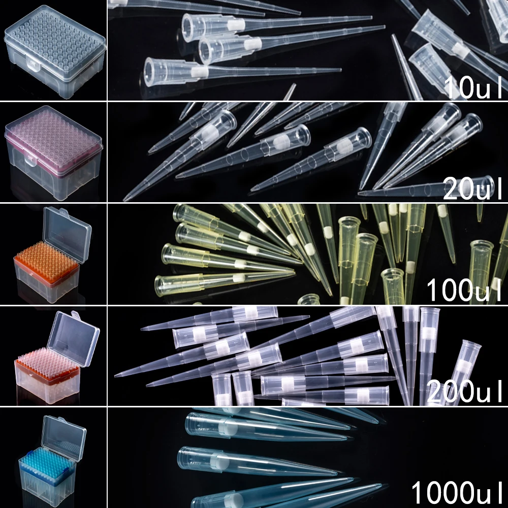 Changheng 1000ul Pipette Tips Filter Rnase Free Apyrogenic Sterilized ...