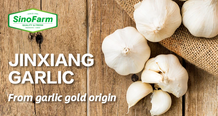 Fresh White Garlic Factory Wholesale 10kg/20kg Mesh Bag/Carton China ...