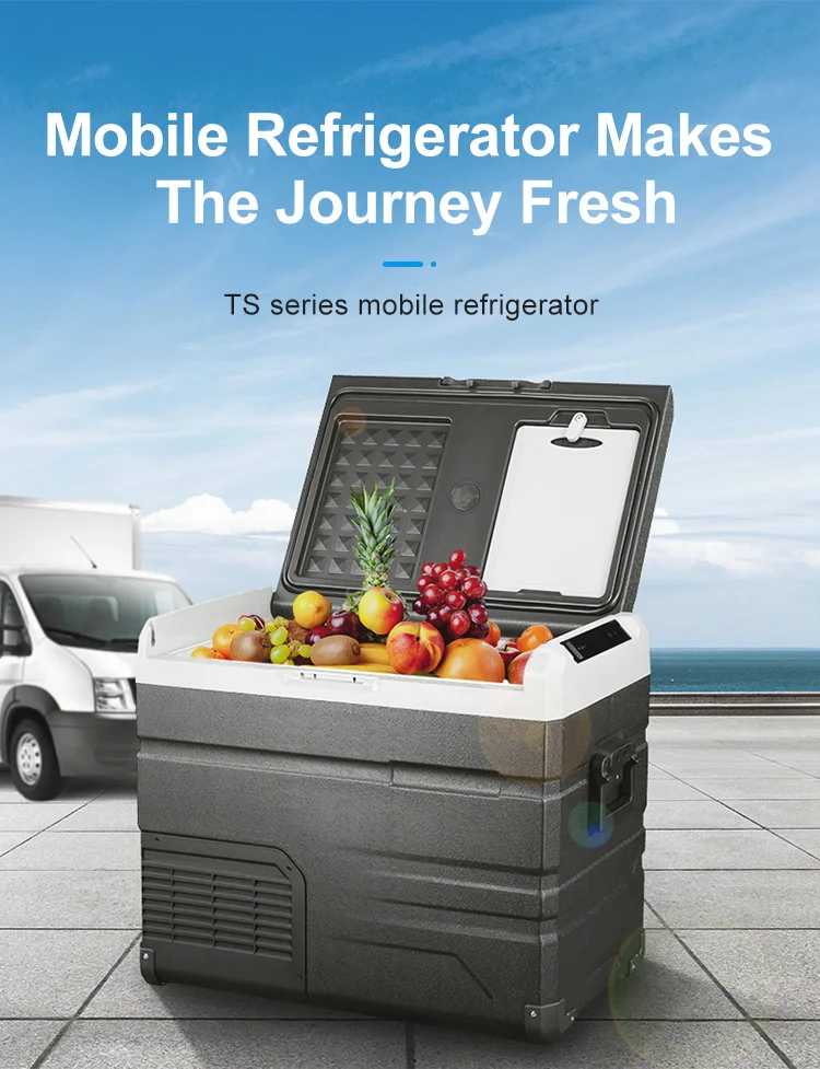 Ts60 12 Volt Rechargeable Portable Freezer Cupholder Door Design Chest ...