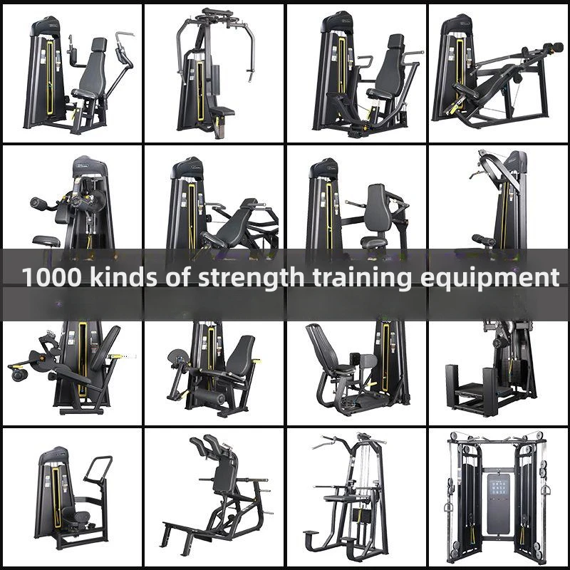 SK Body Building Gym Equipment Steel Weight Stack Exercise Machine Pin ...