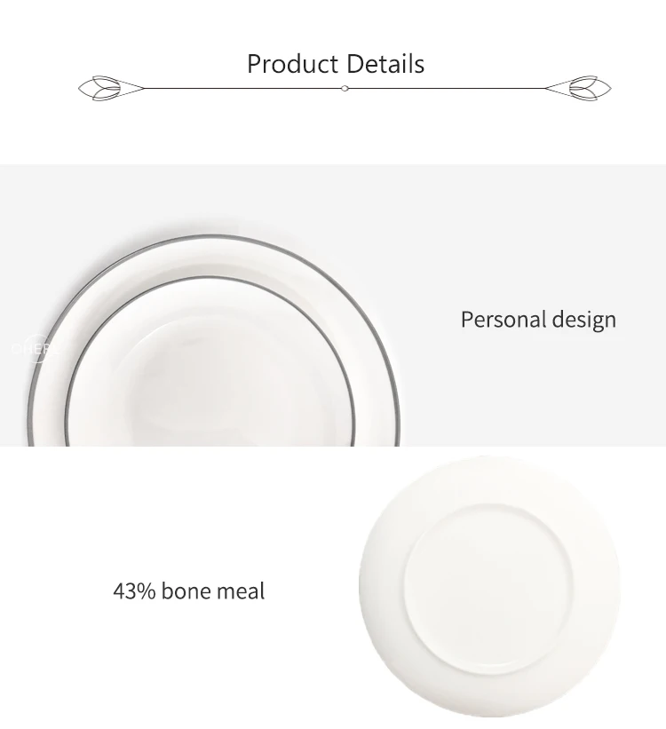 Porcelain Dinner Plate Set - Classic Silver Edge Bone China