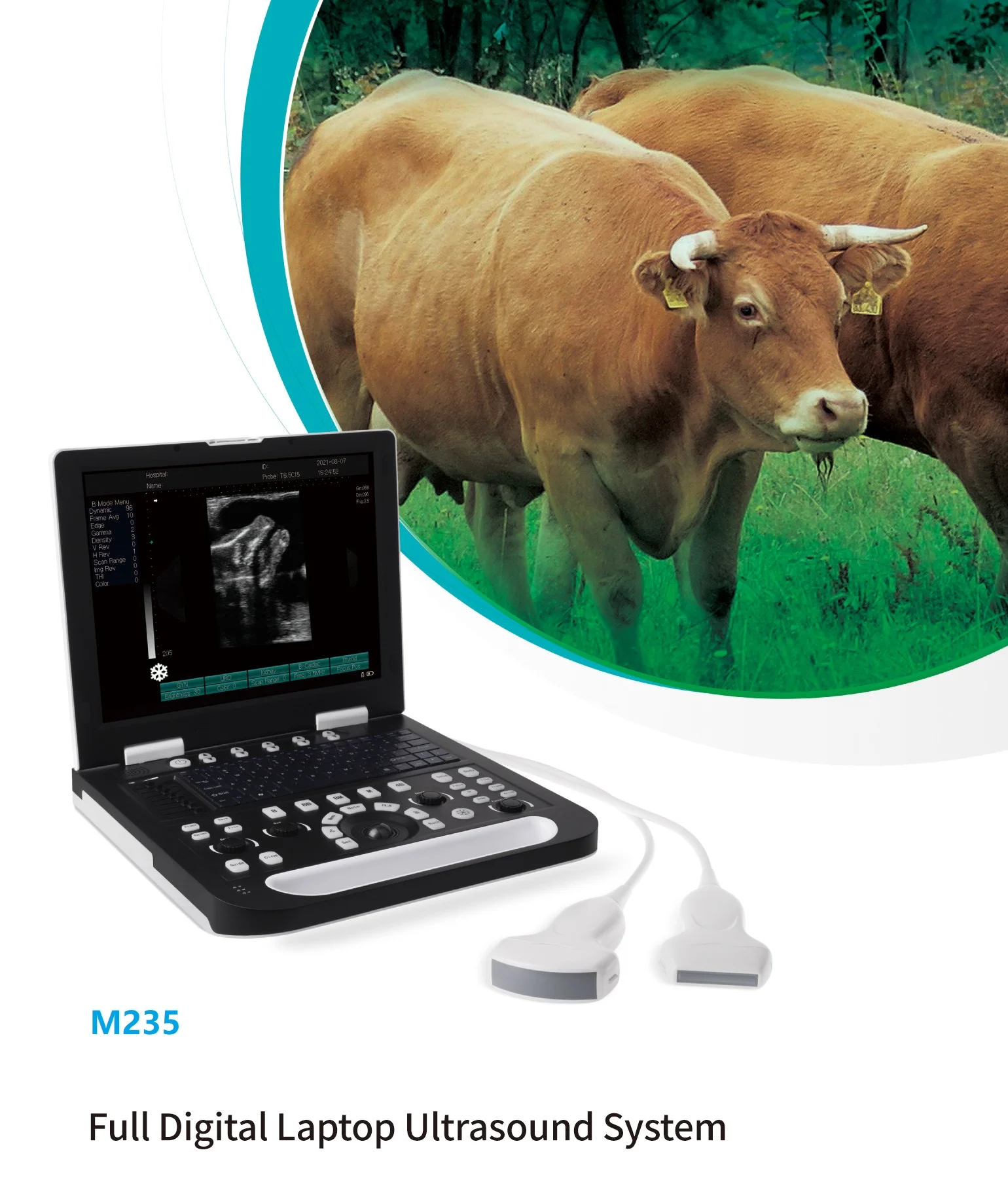 M235 Laptop Veterinary Ultrasound Scanner Cattle Ultrasound Machine ...