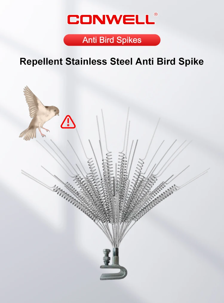 Stainless Steel Anti Bird Spikes Pigeon Repellent Strips Bird Control ...