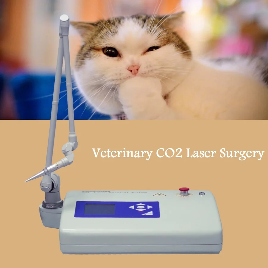 15W Veterinary CO2 Laser Surgical Instrument| Alibaba.com