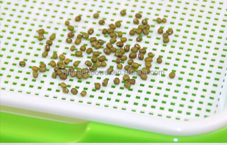 Plastic Seed Sprouter Tray with Lid - Eco-Friendly Germination