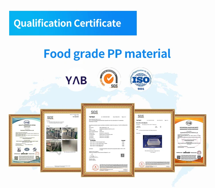 Wholesale High Quality Folding Pp Corrugated Corflute Corex Abalone ...