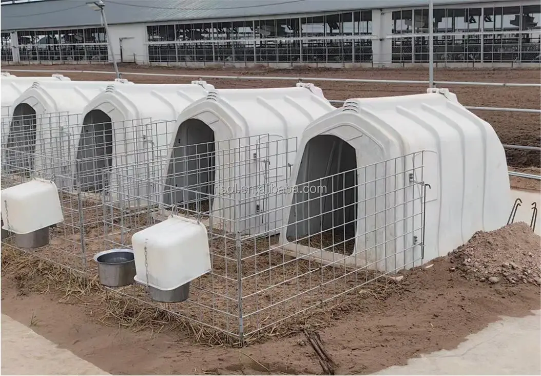 Multifunctional Calf Cow Cattle Cages - Durable & Efficient
