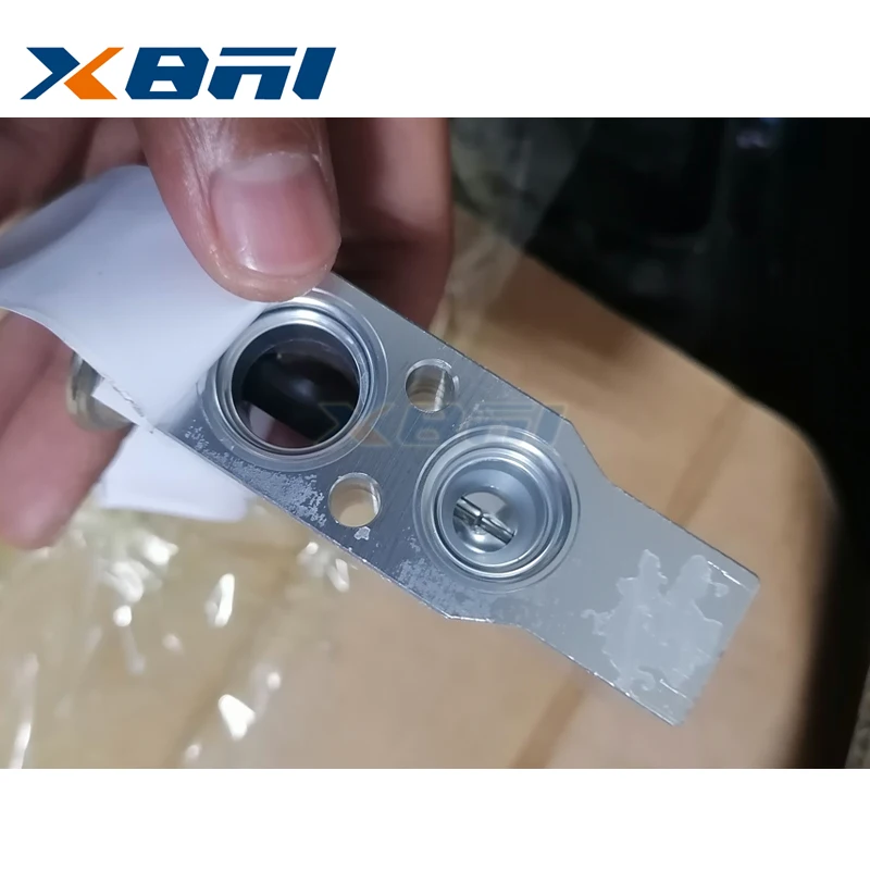 Evaporator Expansion Valve for SITRAK C7H G7S C9H HOWO