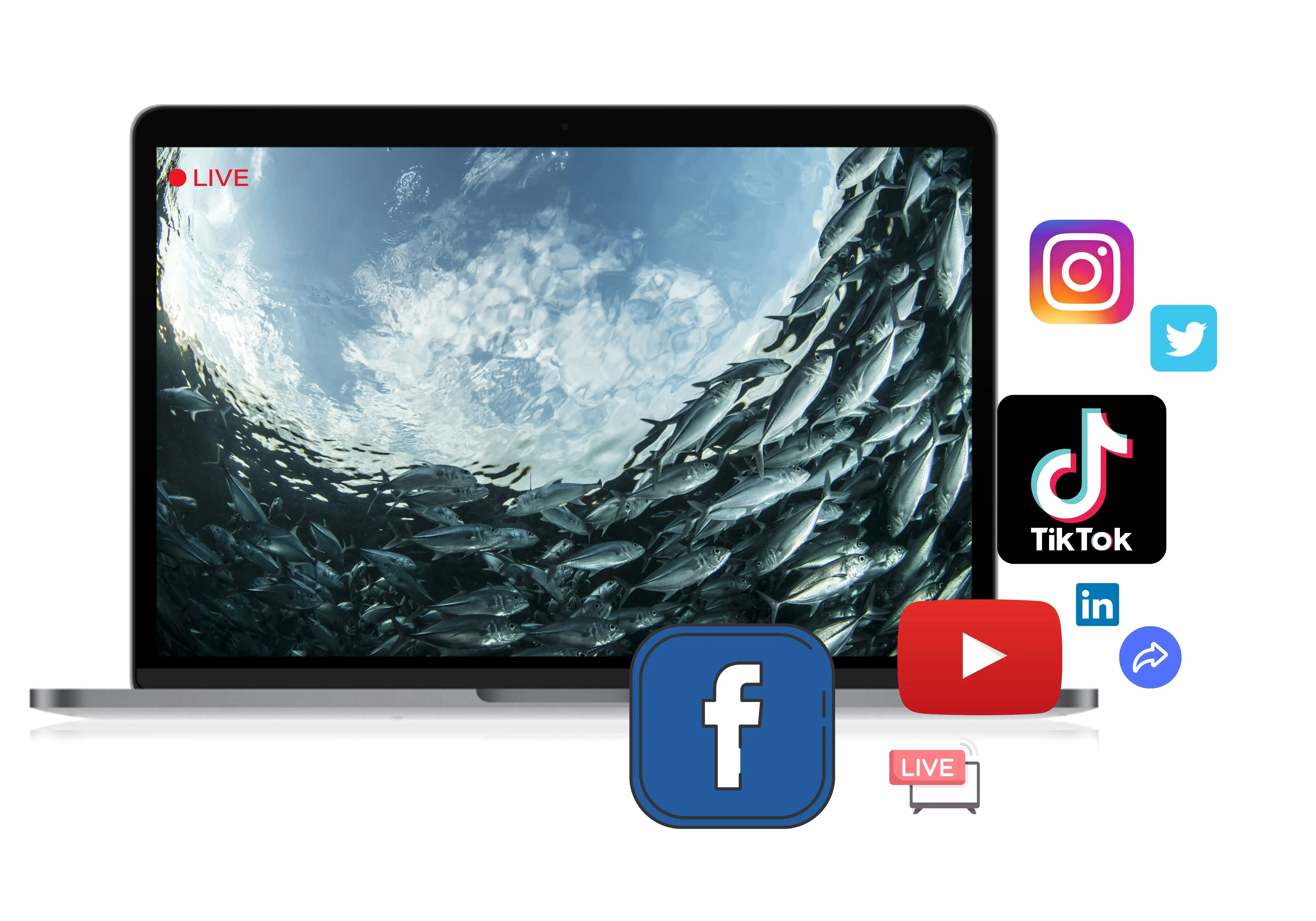 Barlus Pond Camera - Underwater Aquaculture Camera with Cleaner