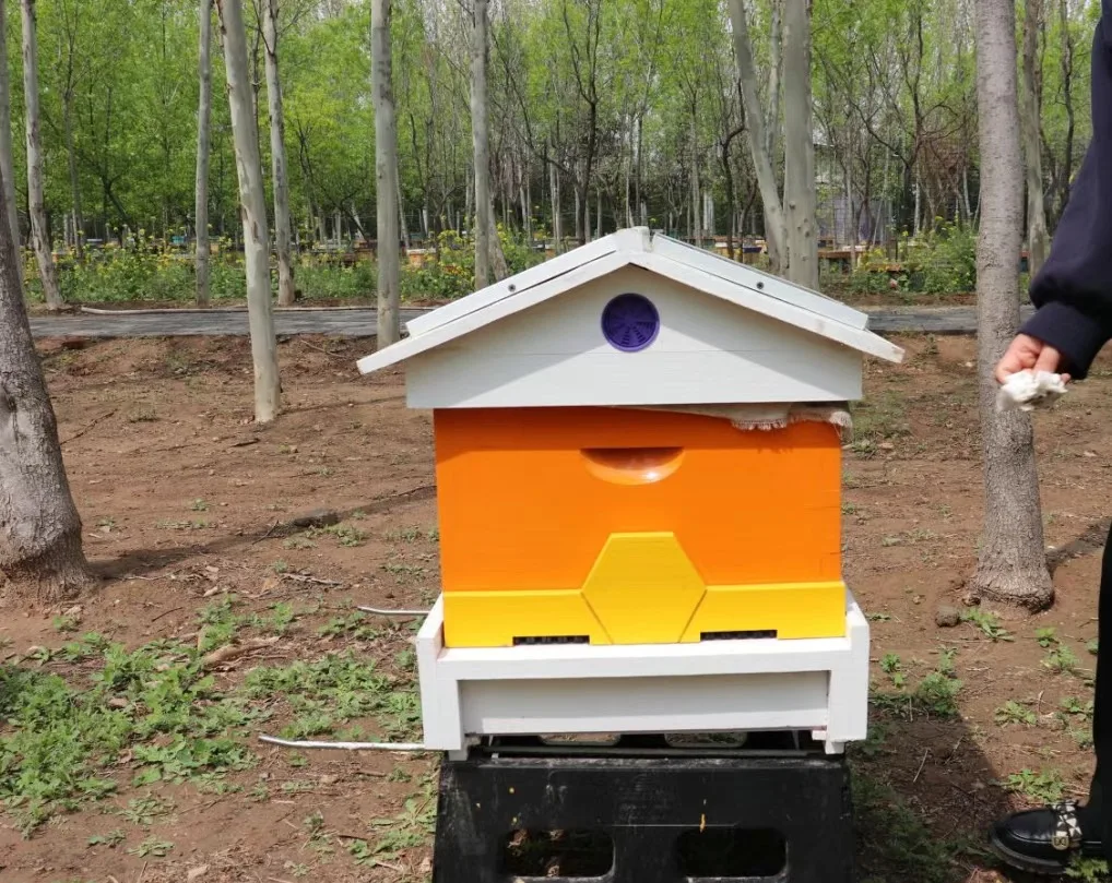 Automatic Self-flowing Bee Hive Apiculture Beekeeping Beehive Bee Hive ...