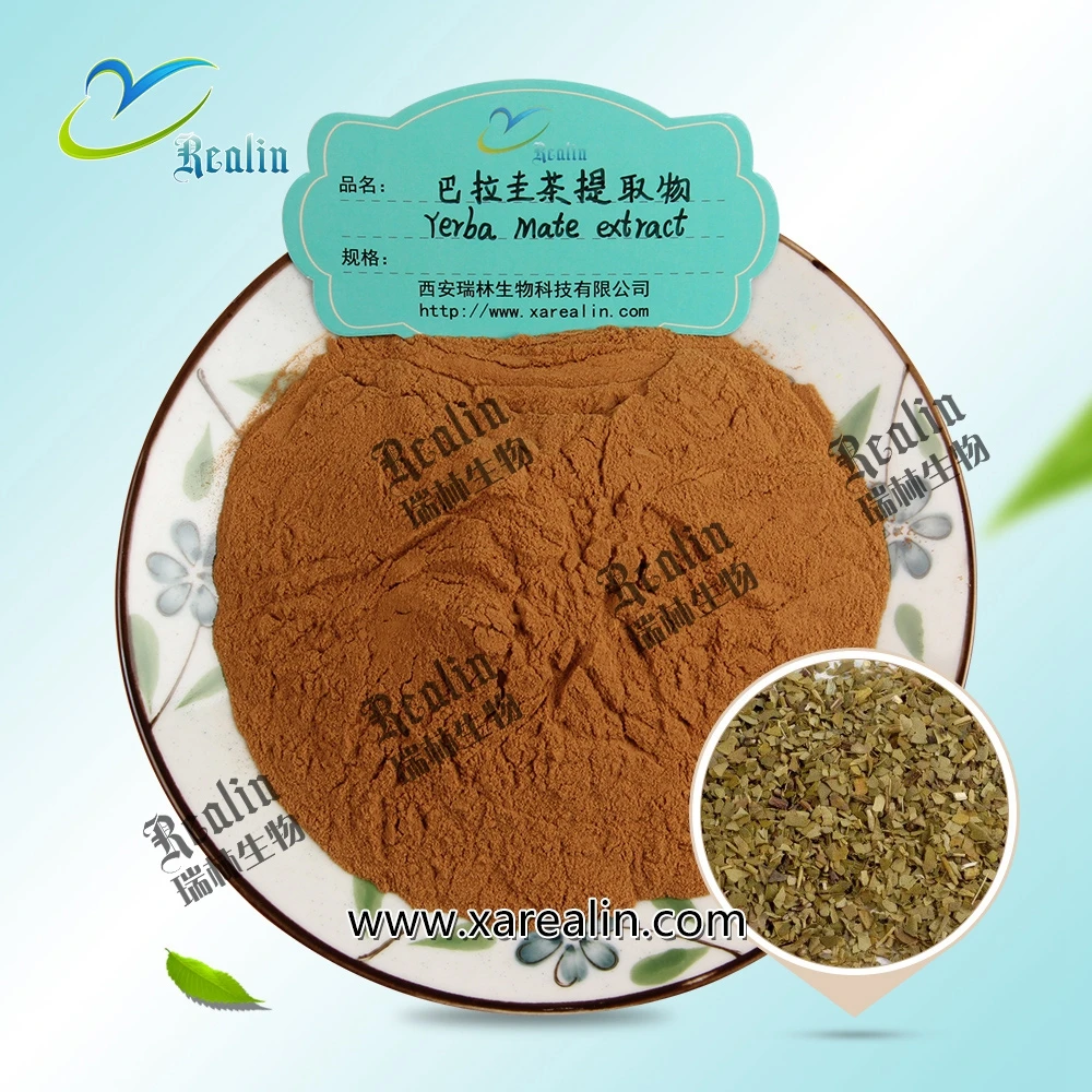 Herbal Health Supplement Yerba Mate Extract| Alibaba.com