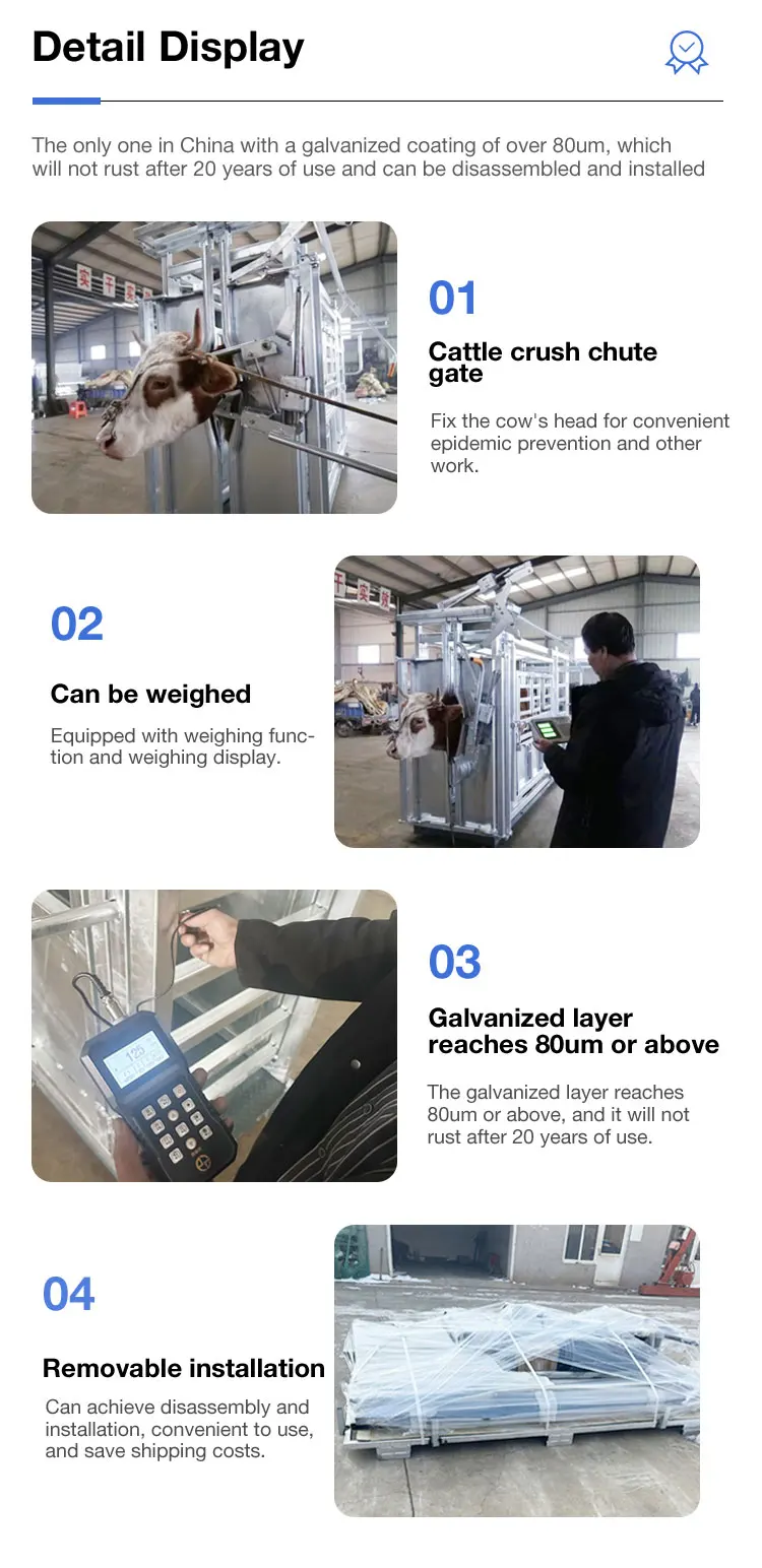 Alibaba.com: Heavy duty galvanized cattle squeeze chute with scales, CE ...