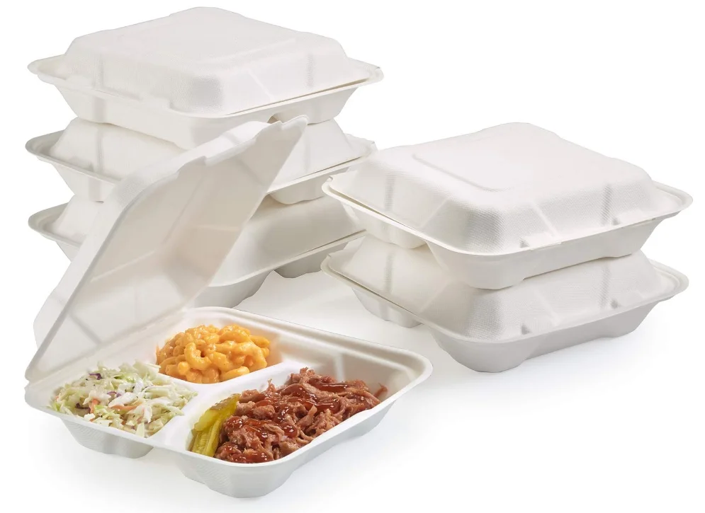Take Away Fast Food Box Made of Biodegradable Sugar Cane Eco-Friendly ...