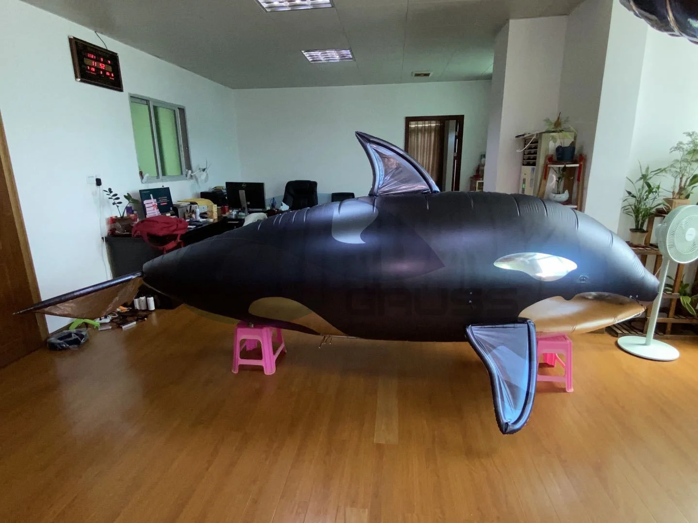 Remote Control Killer Whale Inflatable Balloon for Mall Shows ...