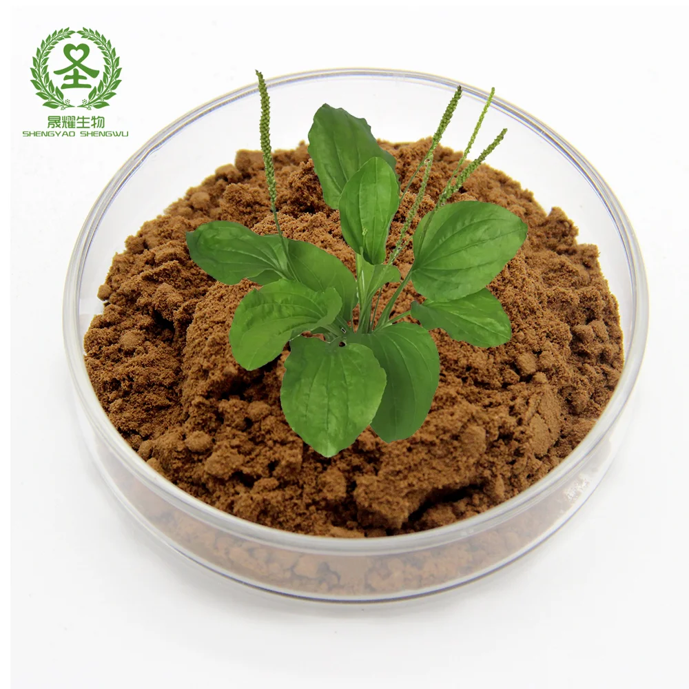 Top Plantain Extract 5:1 Water Grade Plantain Extract From Factory ...