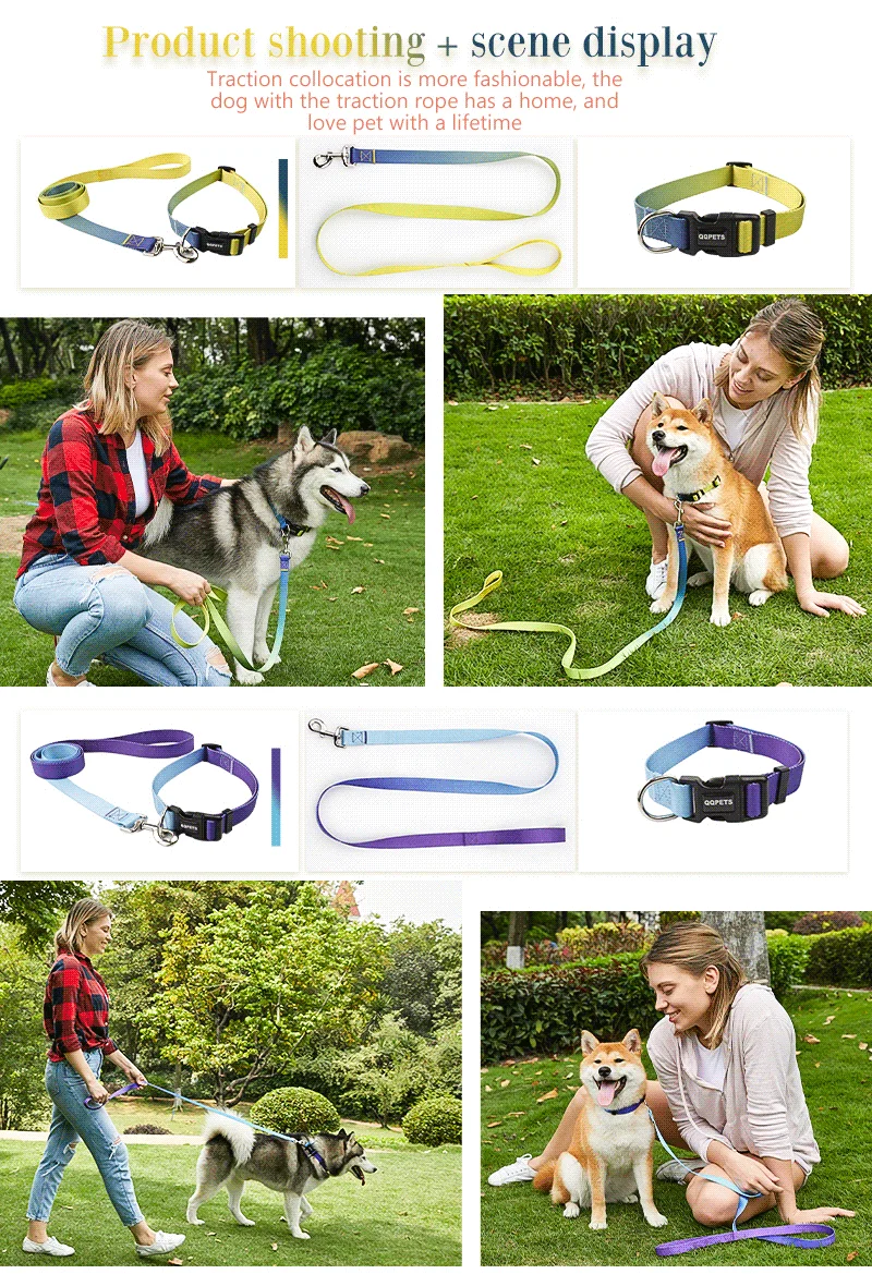 Qqpets 2025 Luxury Custom Solid Nylon Pet Dog Collar