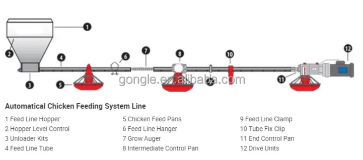 Automatic Poultry Farm Chicken House Broiler Feeding Line
