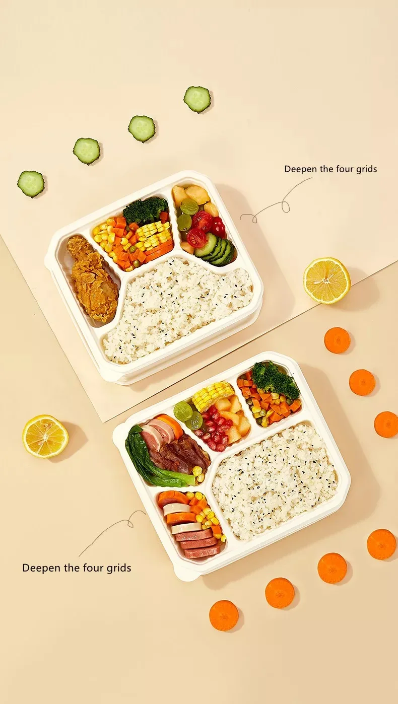 Eco-Friendly Disposable Lunch Box Takeout Plastic Container for ...