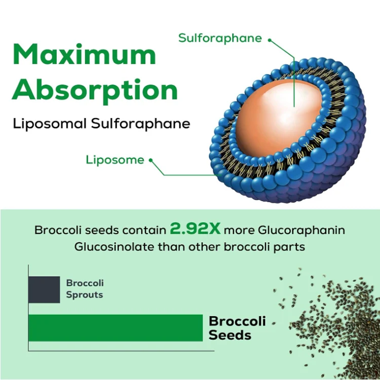 Liposomal Sulforaphane 450mg,Maximum Absorption,Glucoraphanin With ...