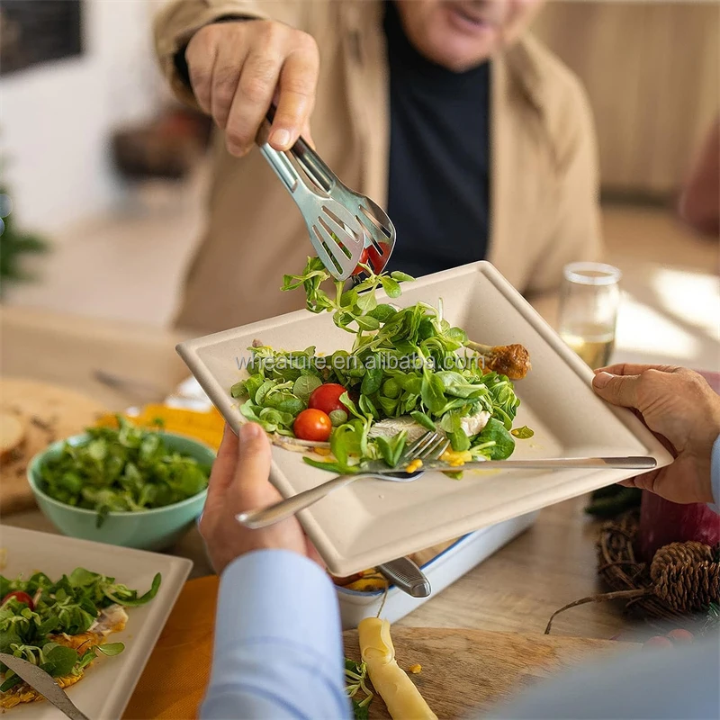 8 Inch Paper Plate Heavy Duty Biodegradable Plate 100% Compostable ...