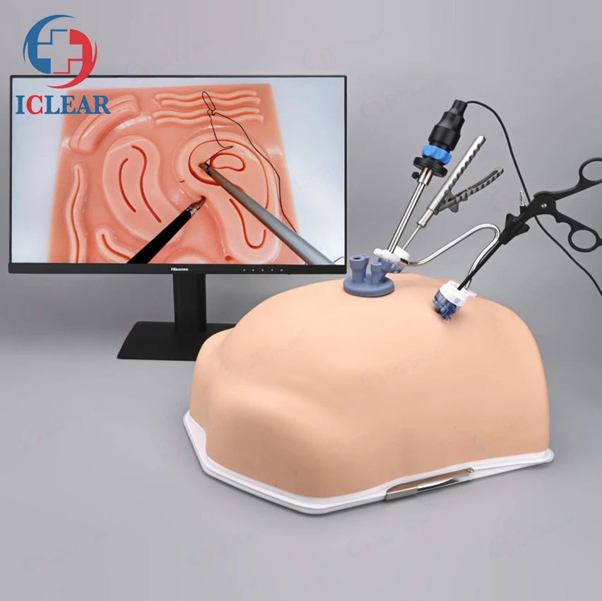 Medical Teaching Laparoscopy Simulator for Gynecological Surgery Training