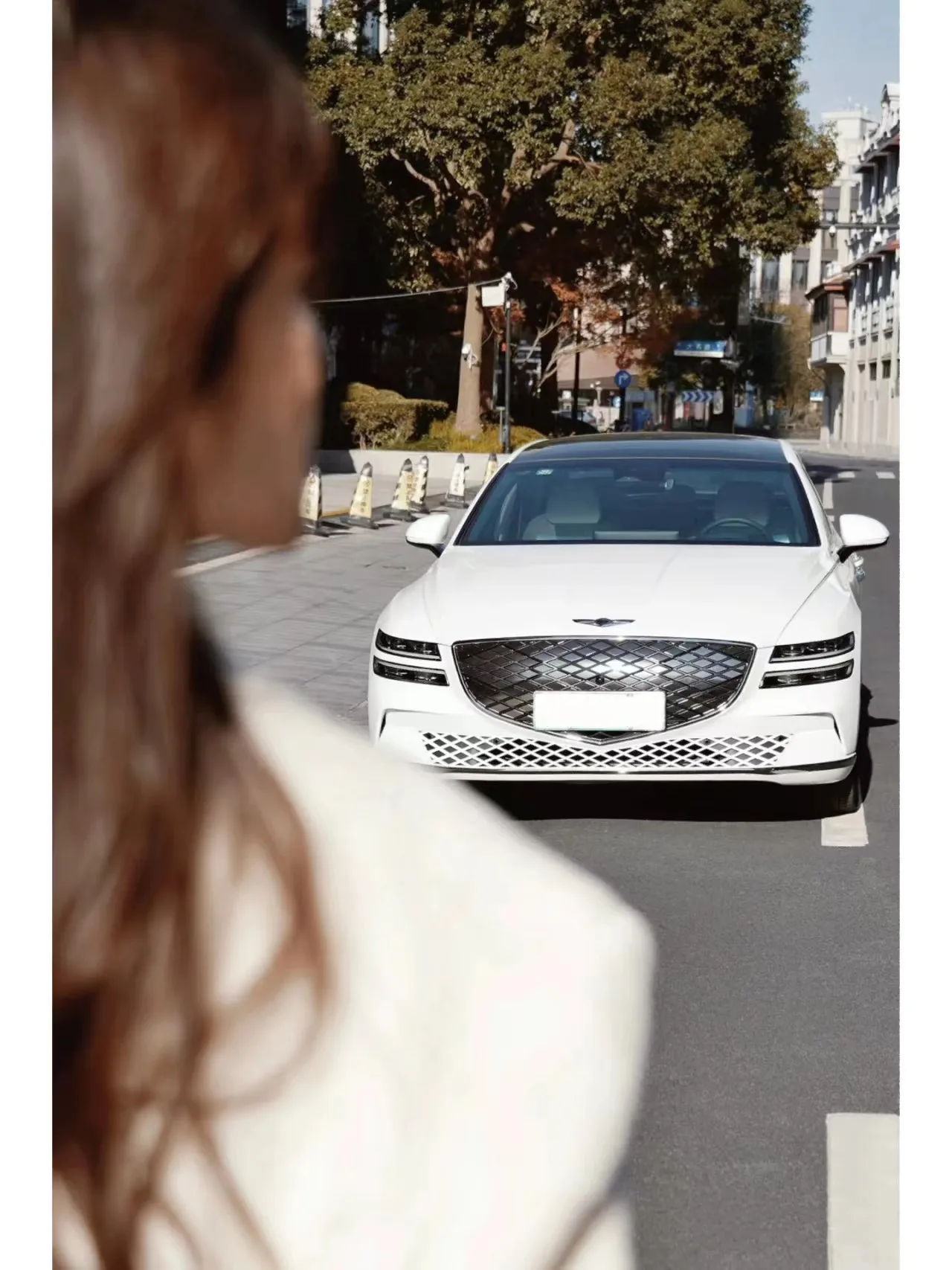 360 Panoramic Image 7 Exterior Cameras 18 Speakers GENESIS G80 Flagship ...