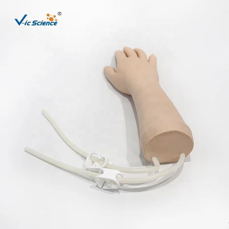 Iv Training Hand Arm Venipuncture Arm Injection Model Forearm ...