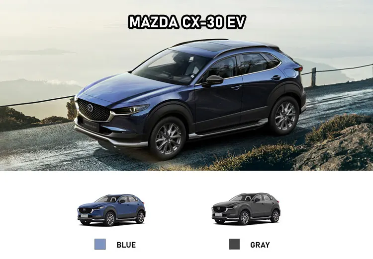 2021 2022 Ford Mazda Cx-30 Ev Changan 100% Electric Cars Comfortable Version Pure Exclusive ...