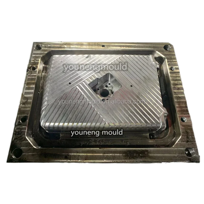 Professional Plastic Injection Luggage Part Molds Manufacturer/luggage ...