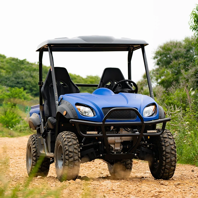 4WD Electric UTV with Automatic Transmission COC Approval for Europe ...