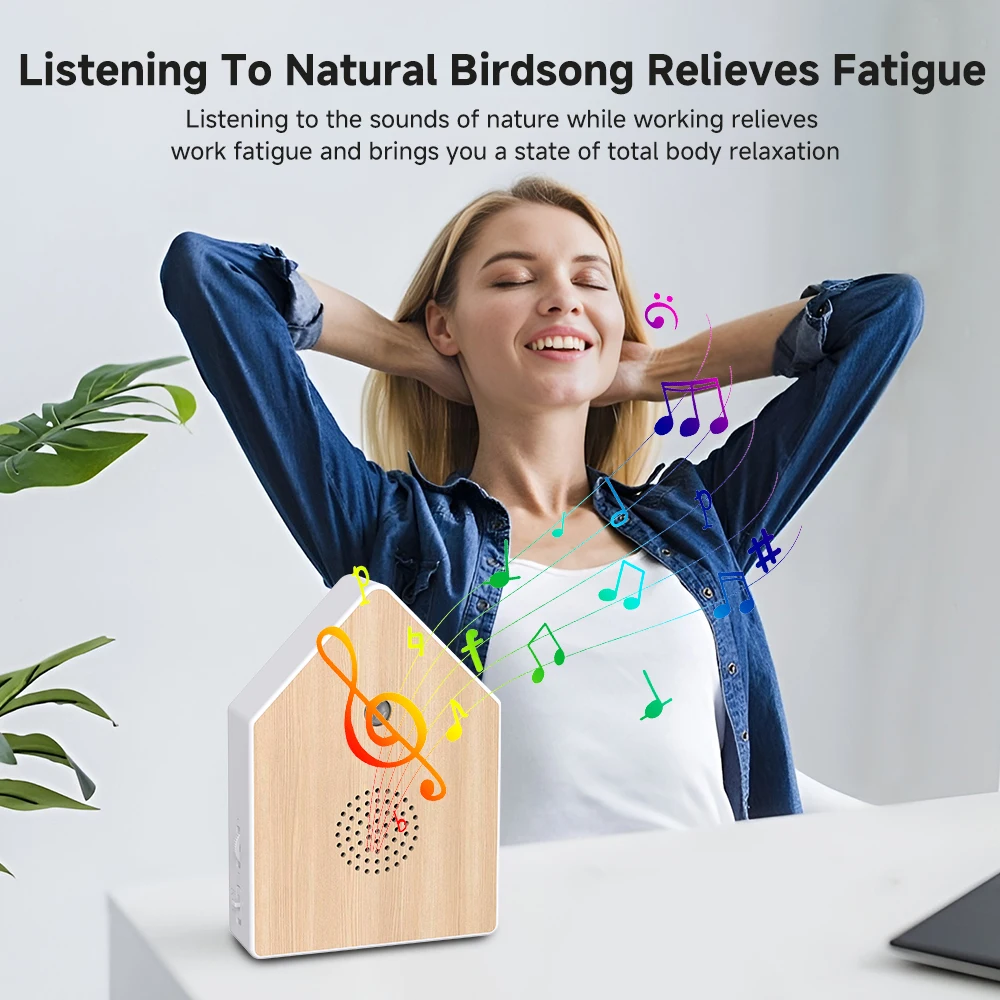 Wholesale White Noise Birds Chirping Songs Music Box for Attracting ...