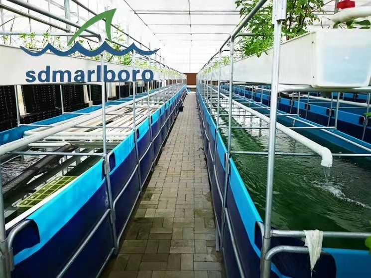 Sdm Supply Aquaculture Fish Farming Equipment Round Pvc Tarpaulin Fish ...