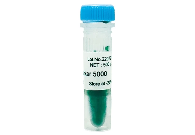5000bp DNA Ladder for Gel Electrophoresis - Foregene