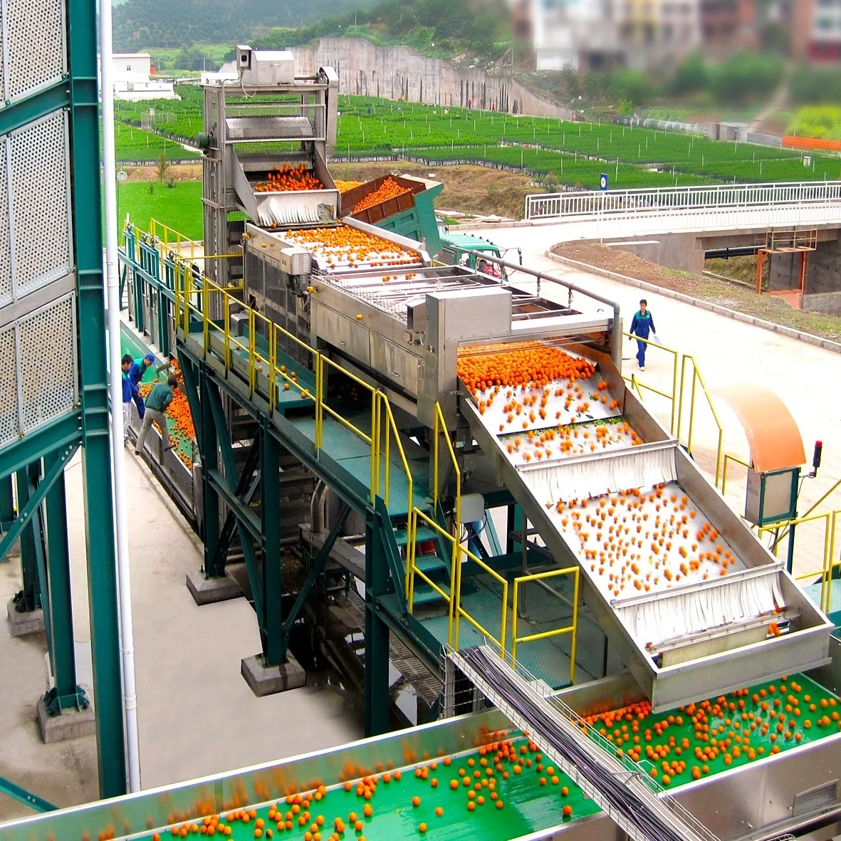 Fruit Elevator - Efficient Lifting Solutions for Fruits