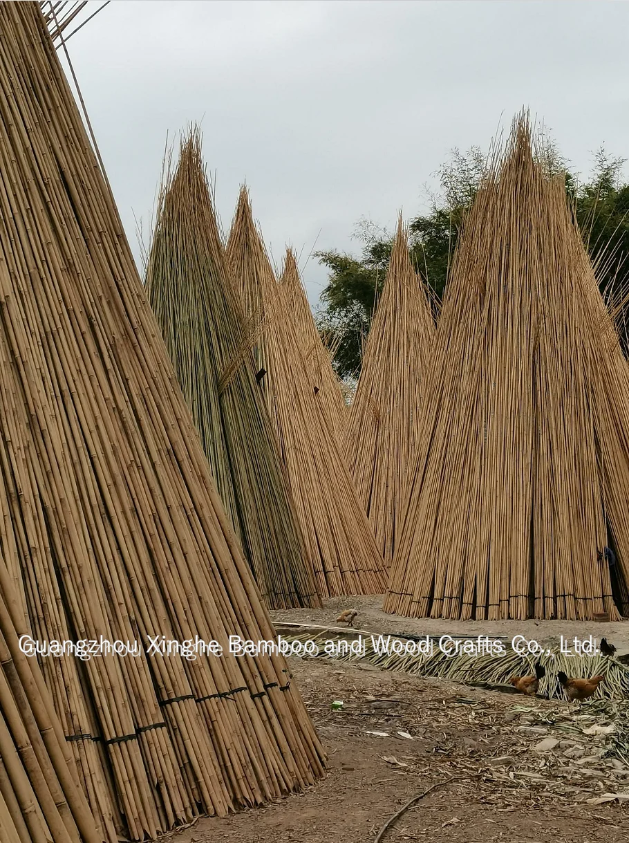 Natural Farm Plants Bamboo Raw Materials - Buy Bamboo Materials,Bamboo Cane Materials,Bamboo Raw ...
