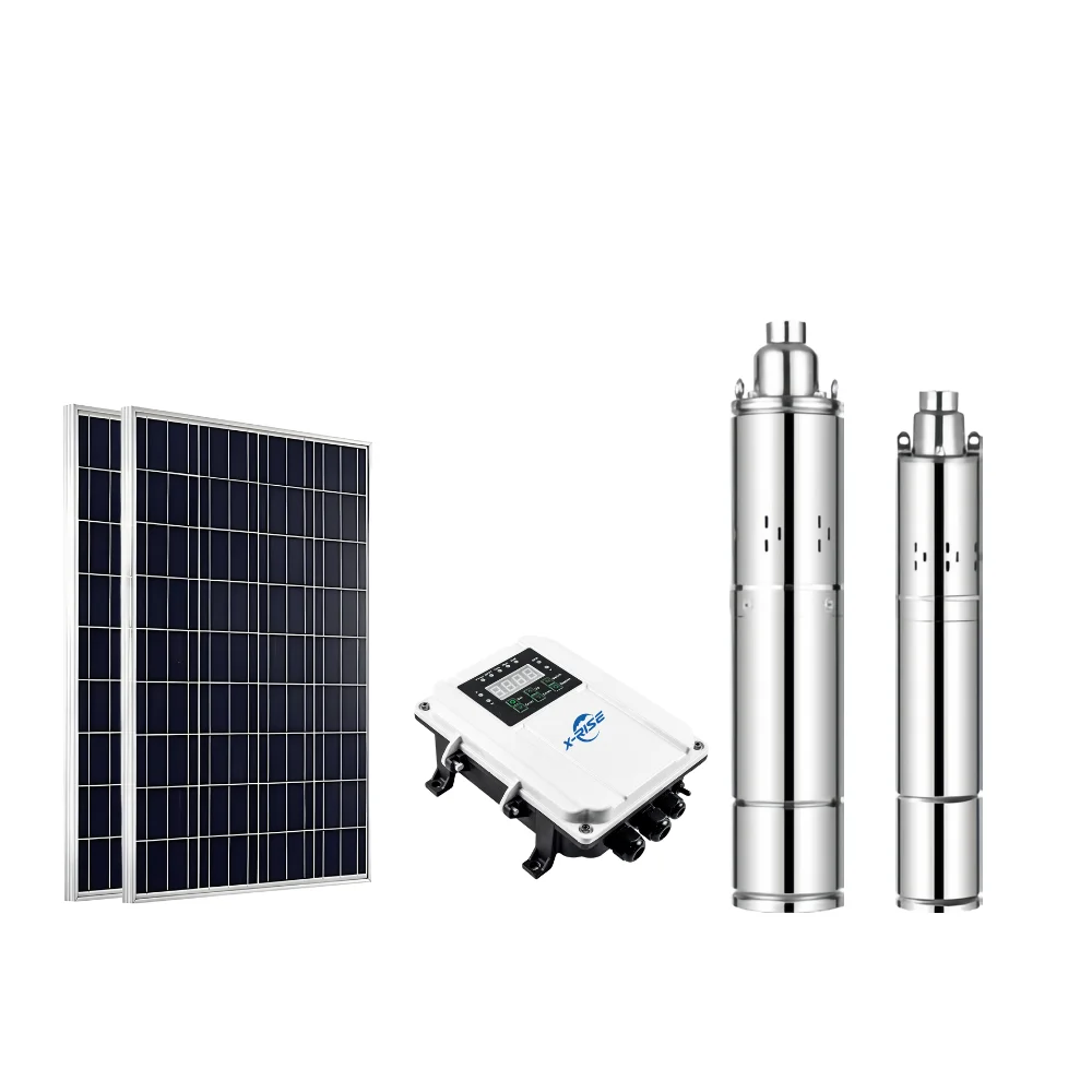 48v Dc Solar Water Pump With Model 4pwss3.0-60-48-400 For Irrigation ...