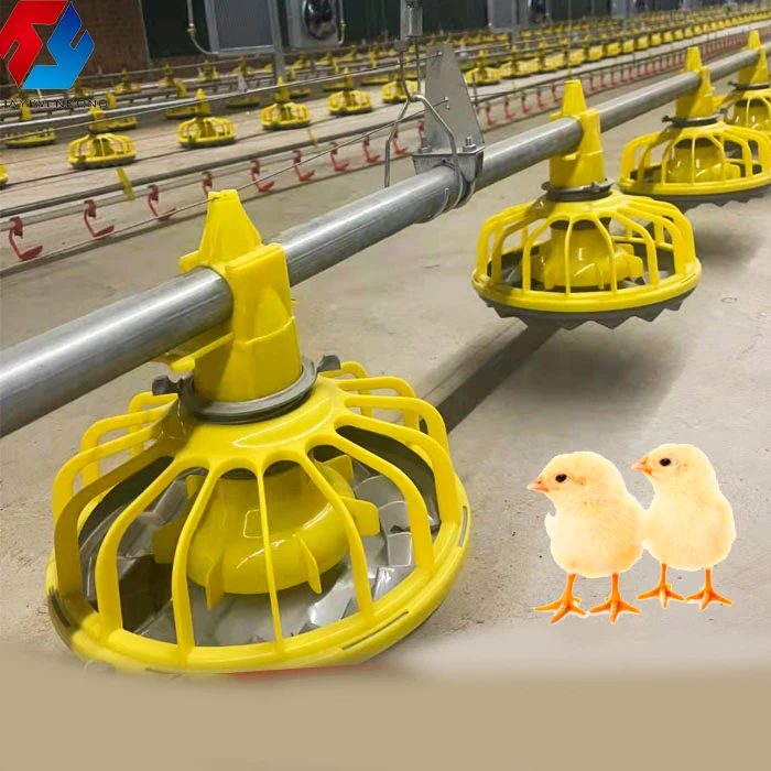 Efficient Chicken Feeding System - Automatic Poultry Broiler