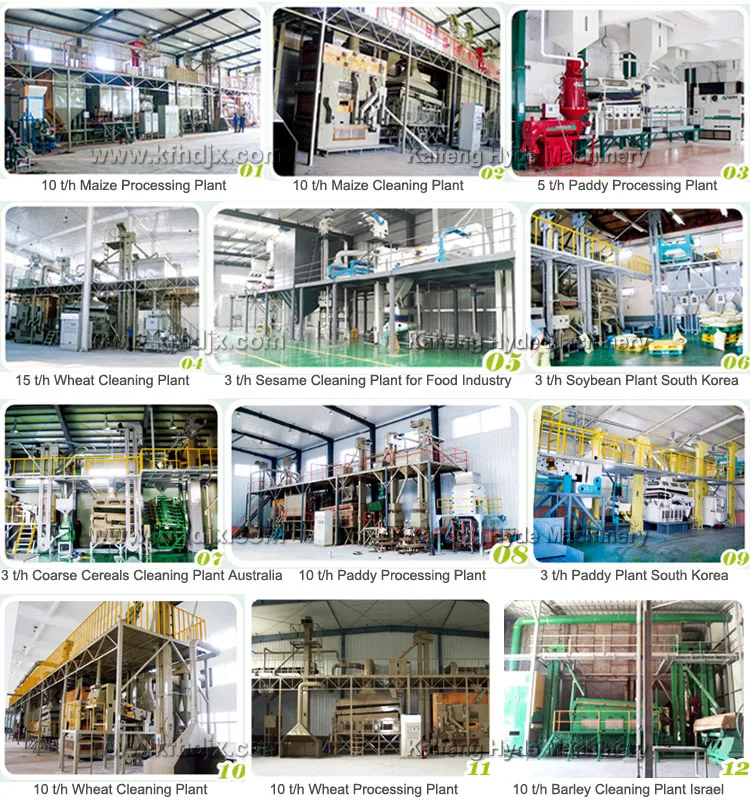 Ethiopian Coffee Bean Cleaning Machinery: Gravity Separator, Color ...