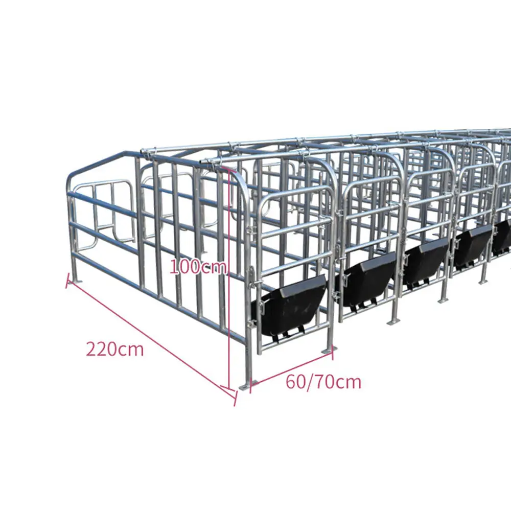Great Farm Sturdy Modern Agricultural Equipments Animal Cages Sow ...
