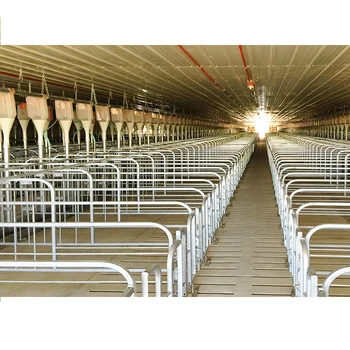 Low Cost Steel Structure Pig Breeding Shed/piggery/hog House - Buy Low ...