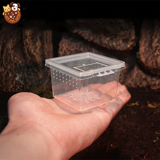 65x65x45mm Spider Small Rearing Box With Flip Cover Vent Hole Live ...