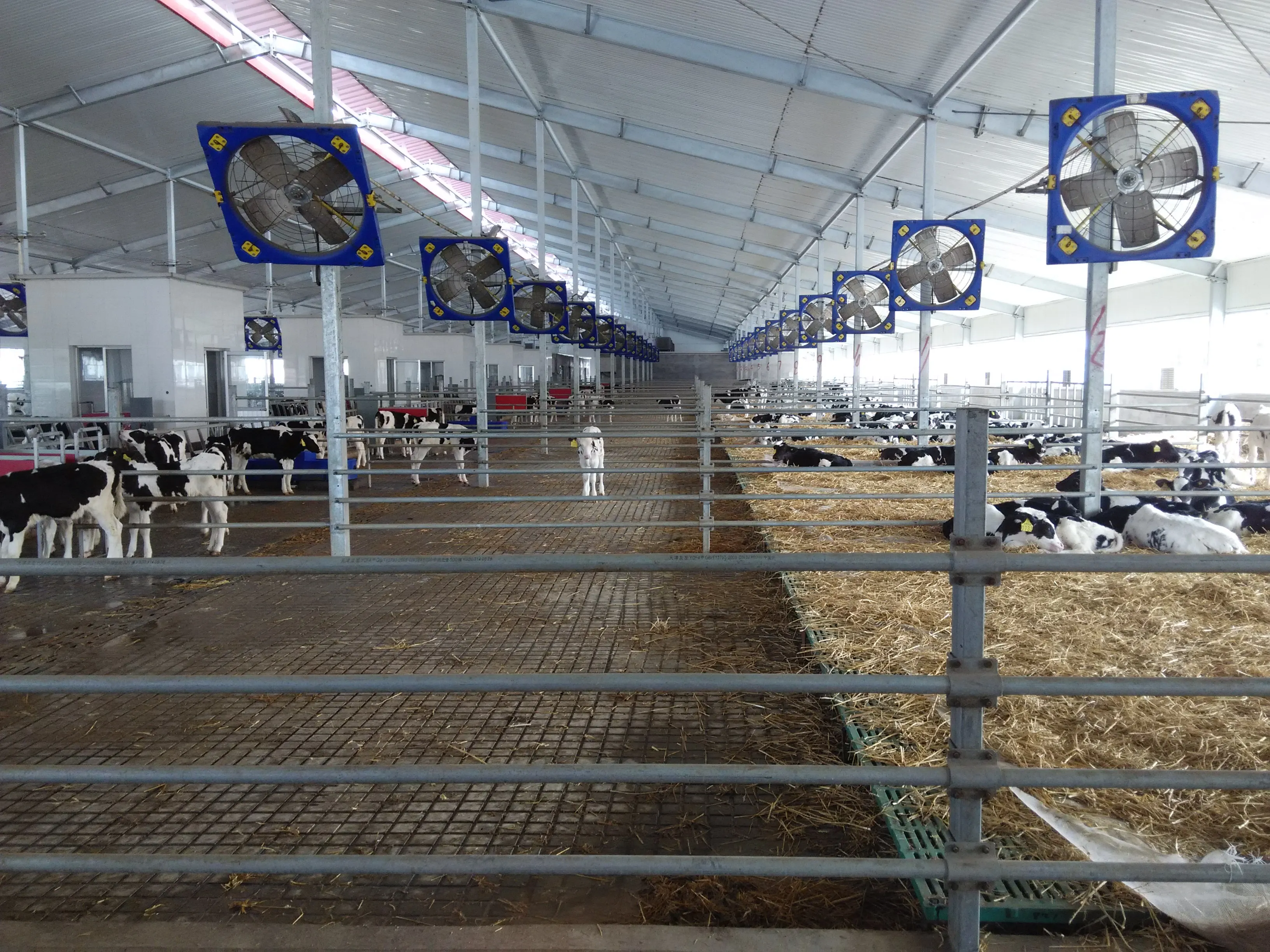 Ventilation Fans For Dairy Farm - Buy Ventilation Fans For Dairy Farm ...