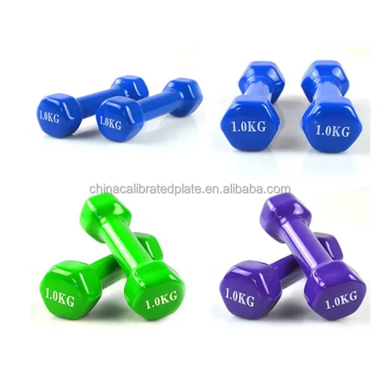 Mini Hex Dumbbell 2kg Dumbbell Colorful Hex Vinyl Dipped Dumbbell Soft ...