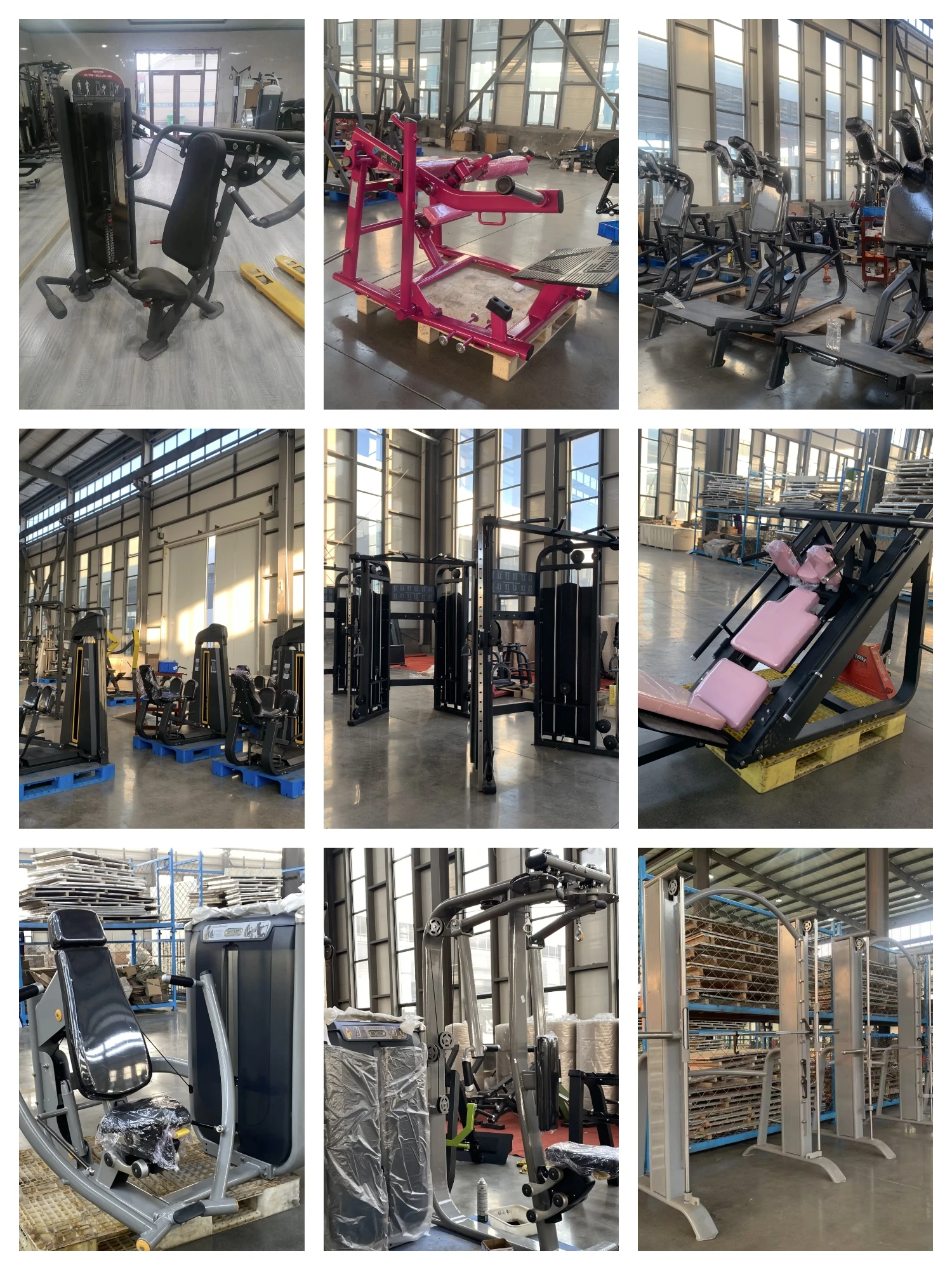 Commercial Seated Biceps Curl Triceps Extension Gym Equipment Biceps ...