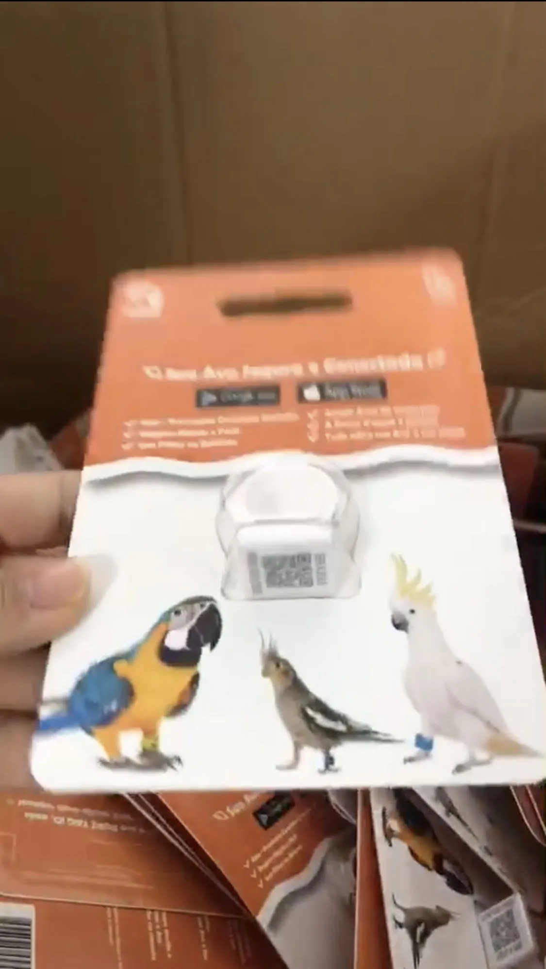 Benzing System UHF Tracking Micro Chip Racing Bird RFID