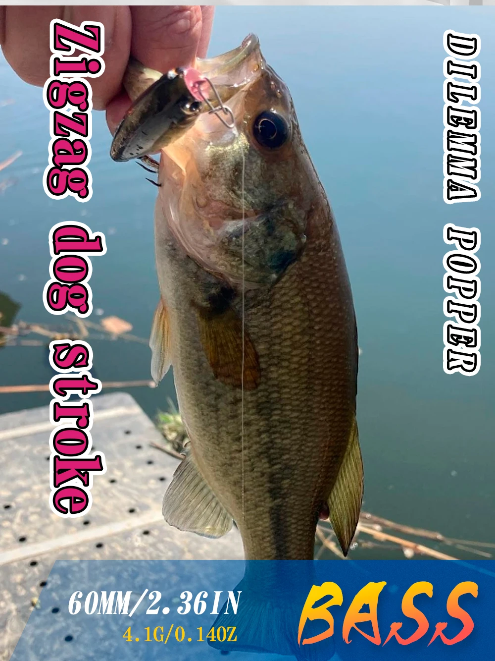 Wholesale Hard Plastic Popper Lure 60mm 3.8g 3d Eyes Fishing Tackle ...