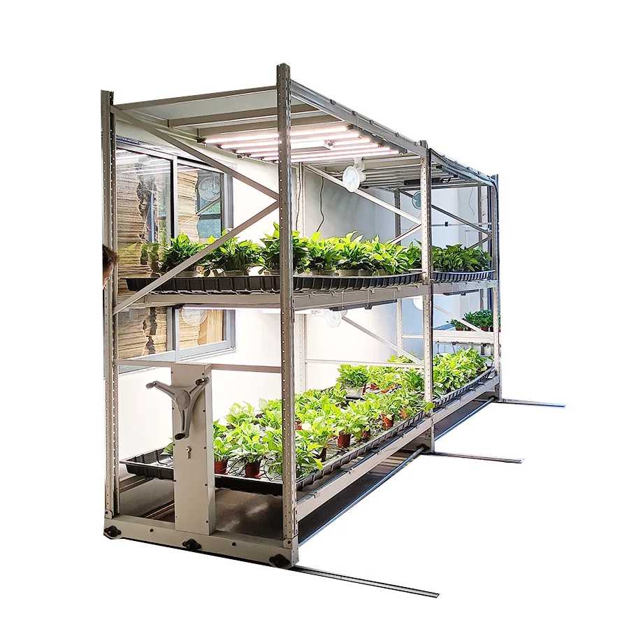 Indoor Farm Mushroom Racks - Efficient Growing Solutions