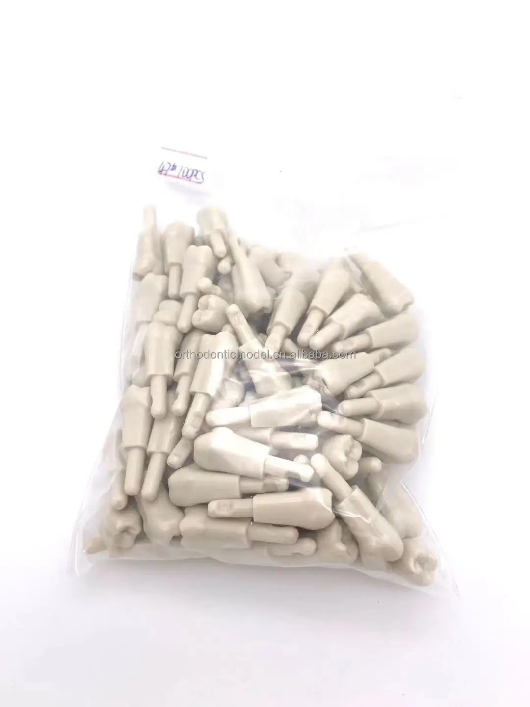 Endo Training Model - Detailed Anatomy for Practice